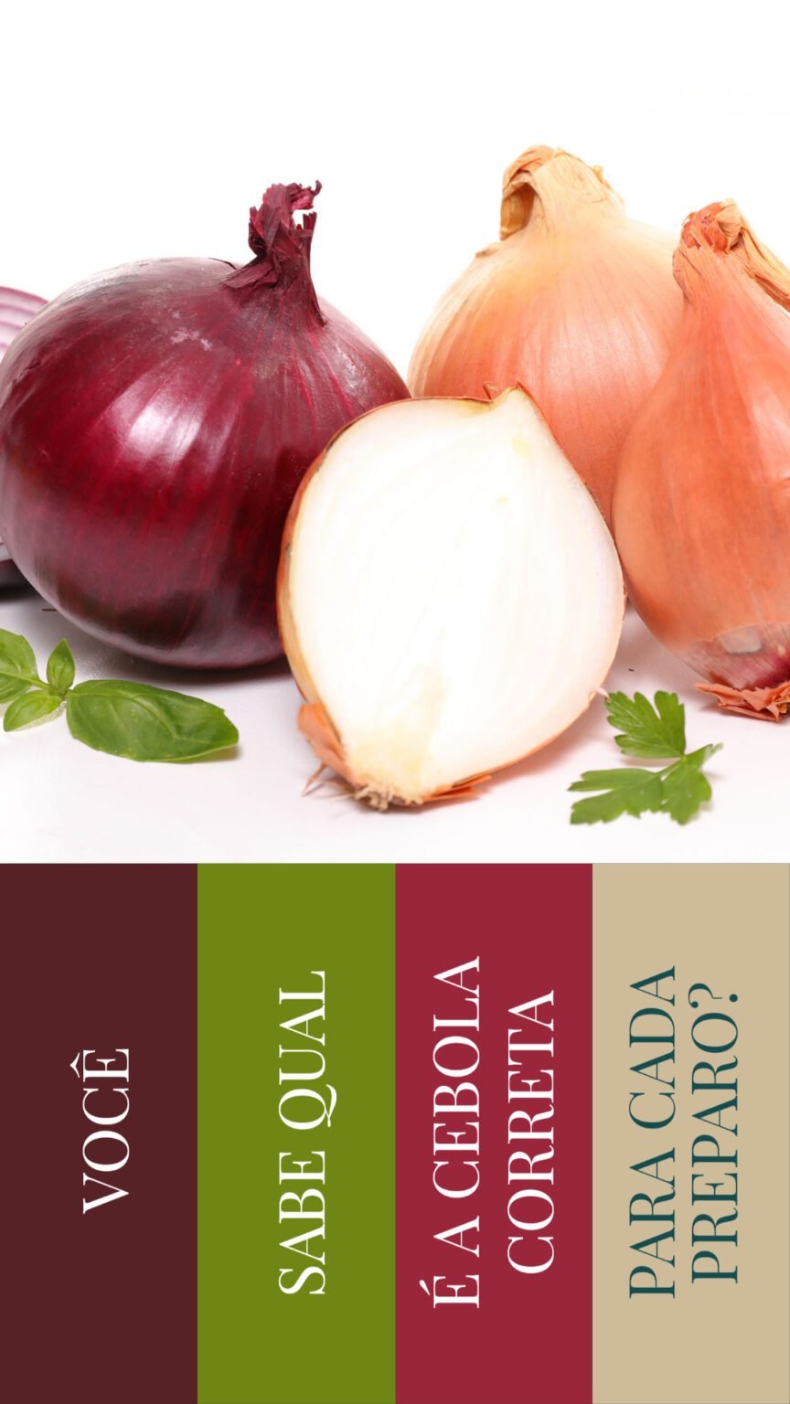 Use A Cebola Certa Na Sua Receita - DONA DE CASA CRIATIVA